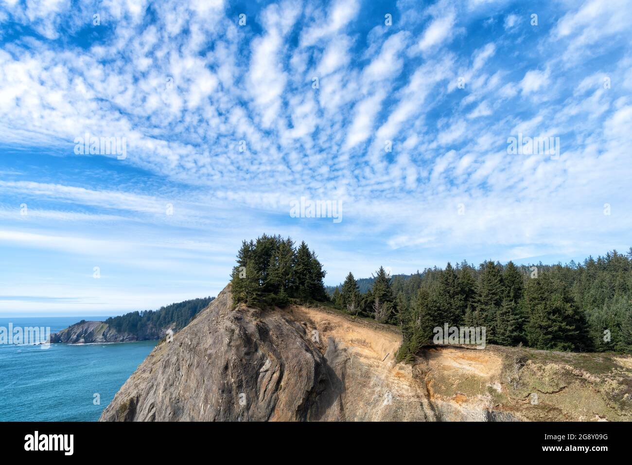 Breathtaking coastal view. Coastal forest in Oregon, USA. Sea cliff under cloudy sky. Scenic ...