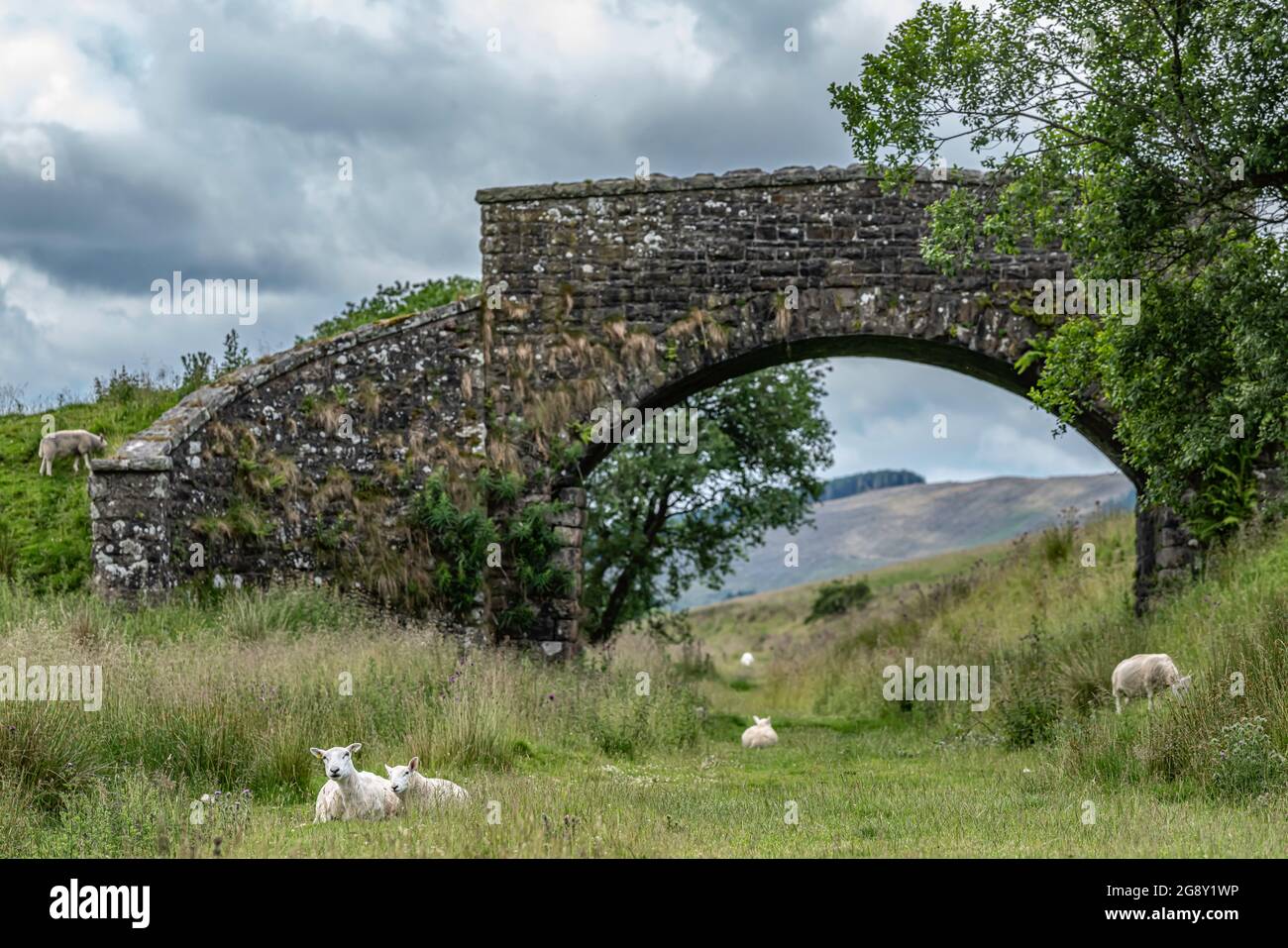 Scottish Counties High Resolution Stock Photography and Images - Alamy