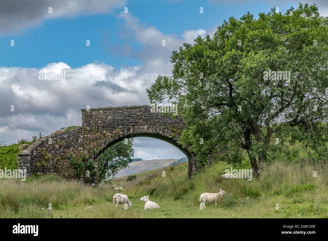 Scottish Counties High Resolution Stock Photography and Images - Alamy