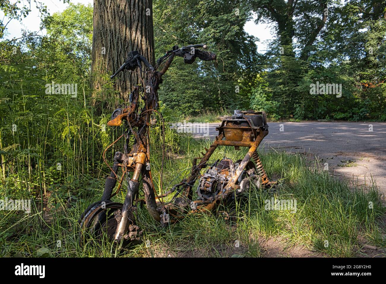 Abandoned aged motorcycle in a forest Stock Photo - Alamy