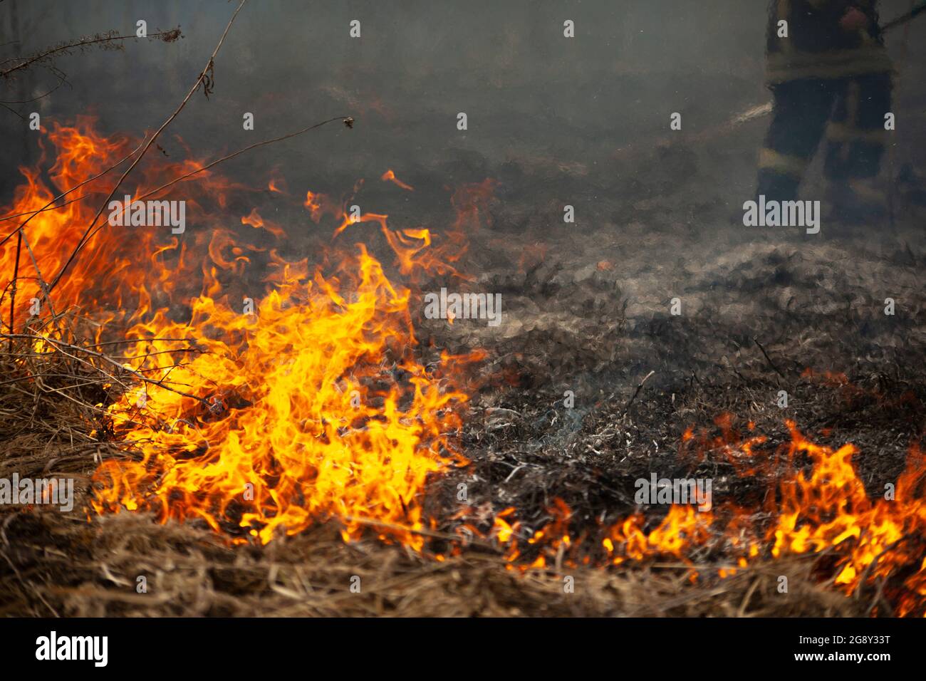 Dry grass is burning. The field caught fire in the spring. Dangerous ...