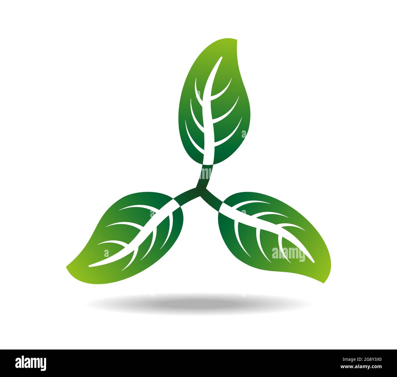 Leaves. Three-piece propeller made of leaves Stock Vector Image & Art ...