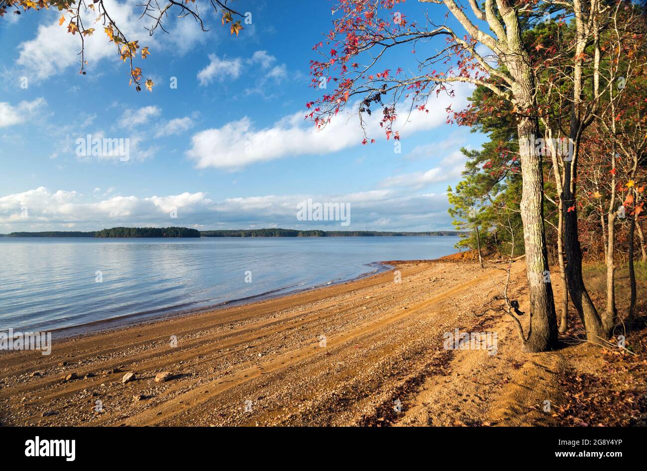 Hamilton Branch State Park, South Carolina. Picture shows the beach ...