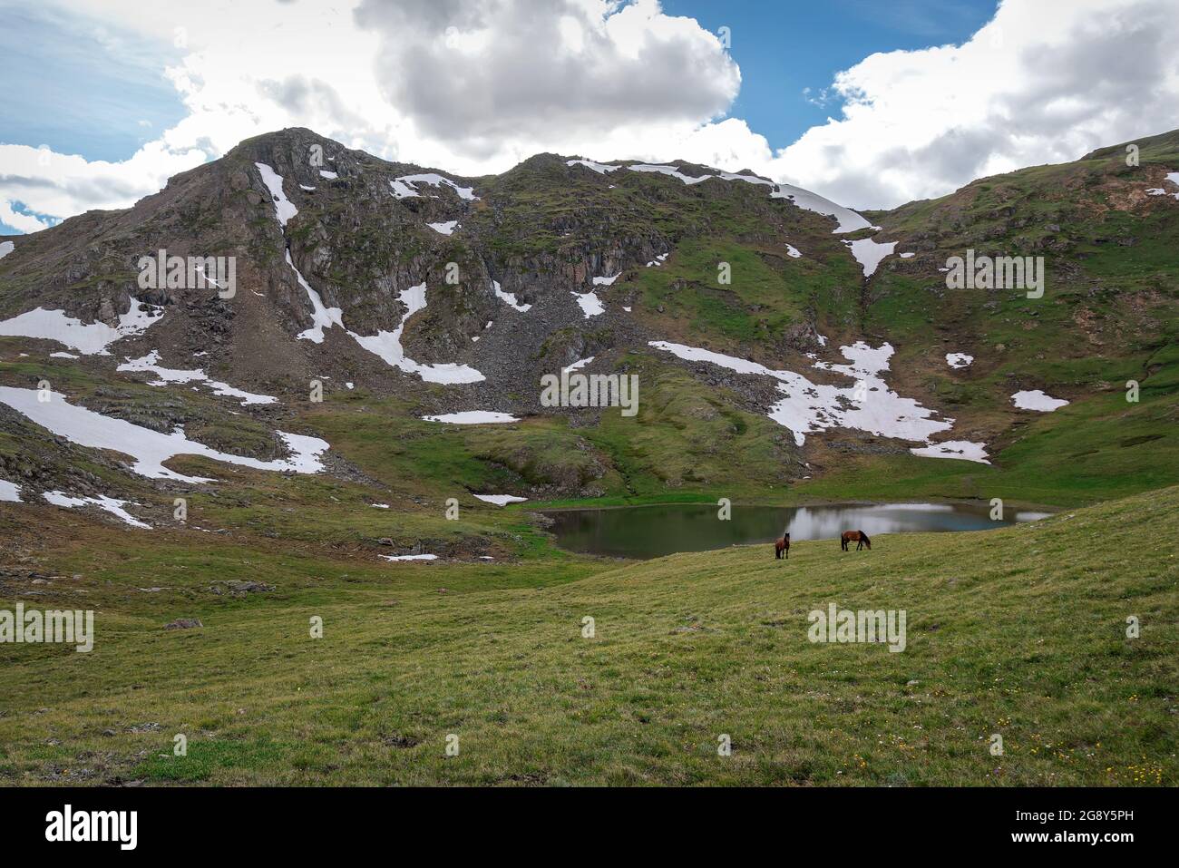 Amazing summer view with a beautiful alpine lake, green grass, snow on ...