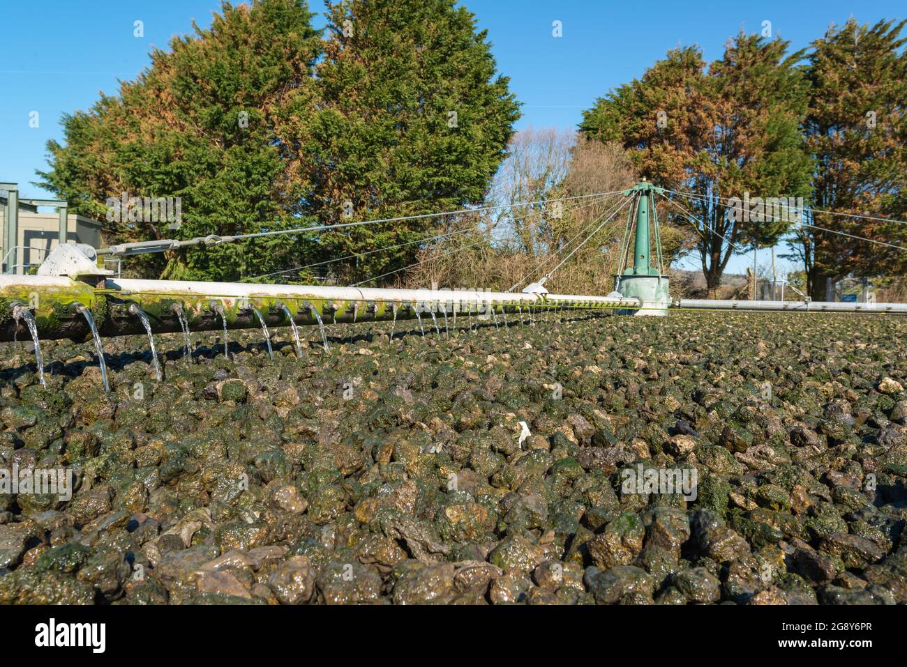 Rotary arm discharging waste water on filter bed, sewage treatment ...