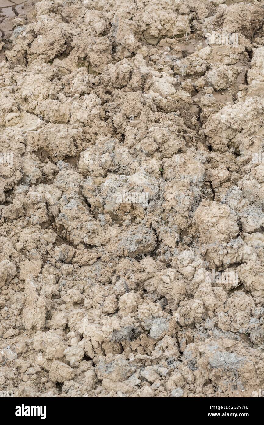 Earth Without Water High Resolution Stock Photography and Images - Alamy