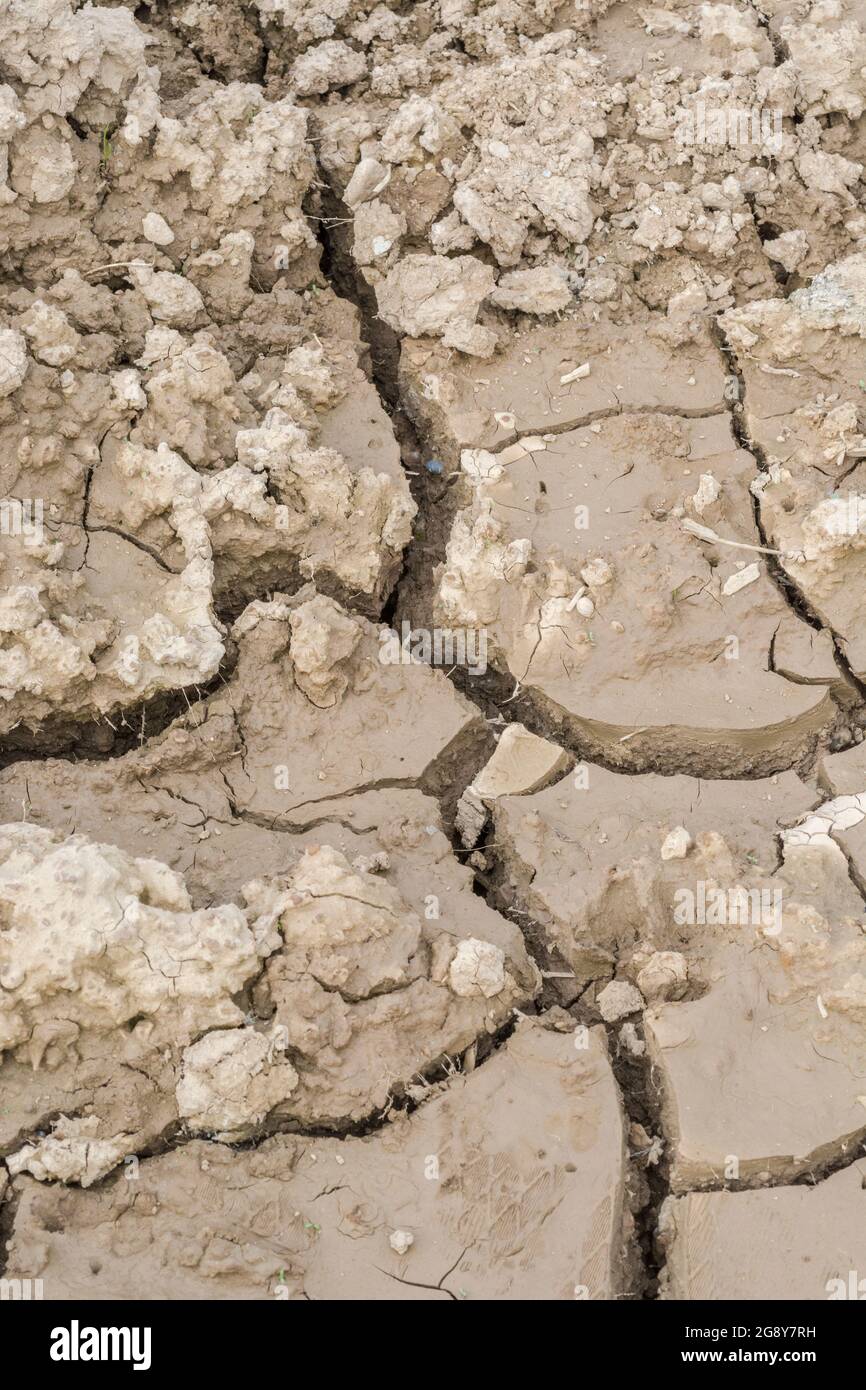Shot of cracked dry field. For 2022 heatwave, drought in UK, parched ...