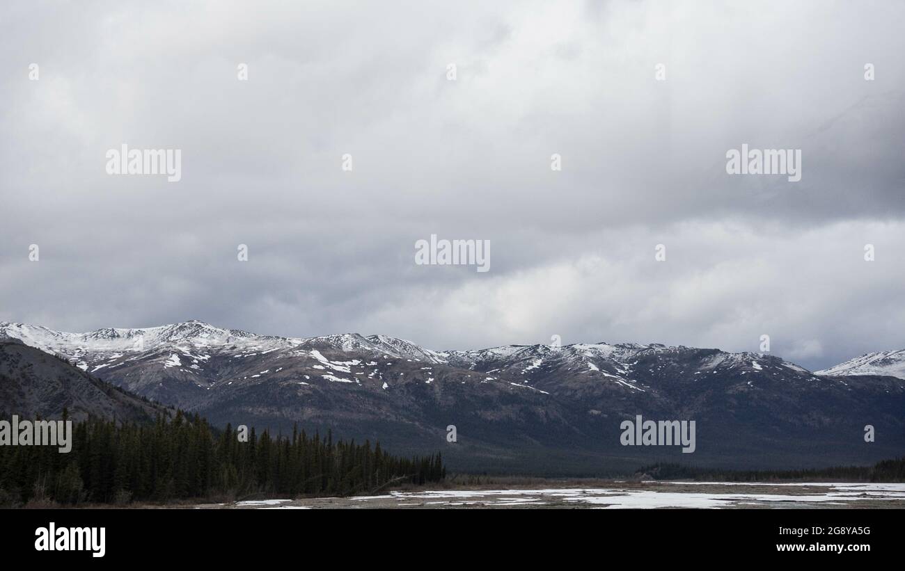 Snowy field and forest under clouds - mountain range in background ...