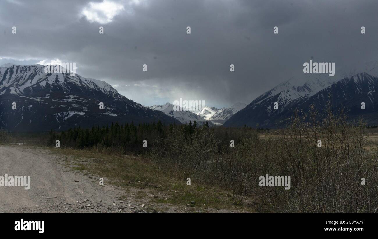 Roadside shrubs and trees under clouds - snowy hills in background ...