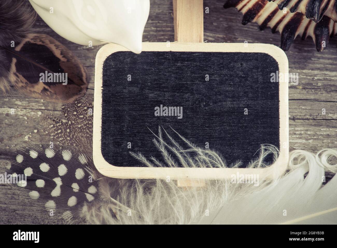 Easter background with feathers and chalkboard, top view, place for ...