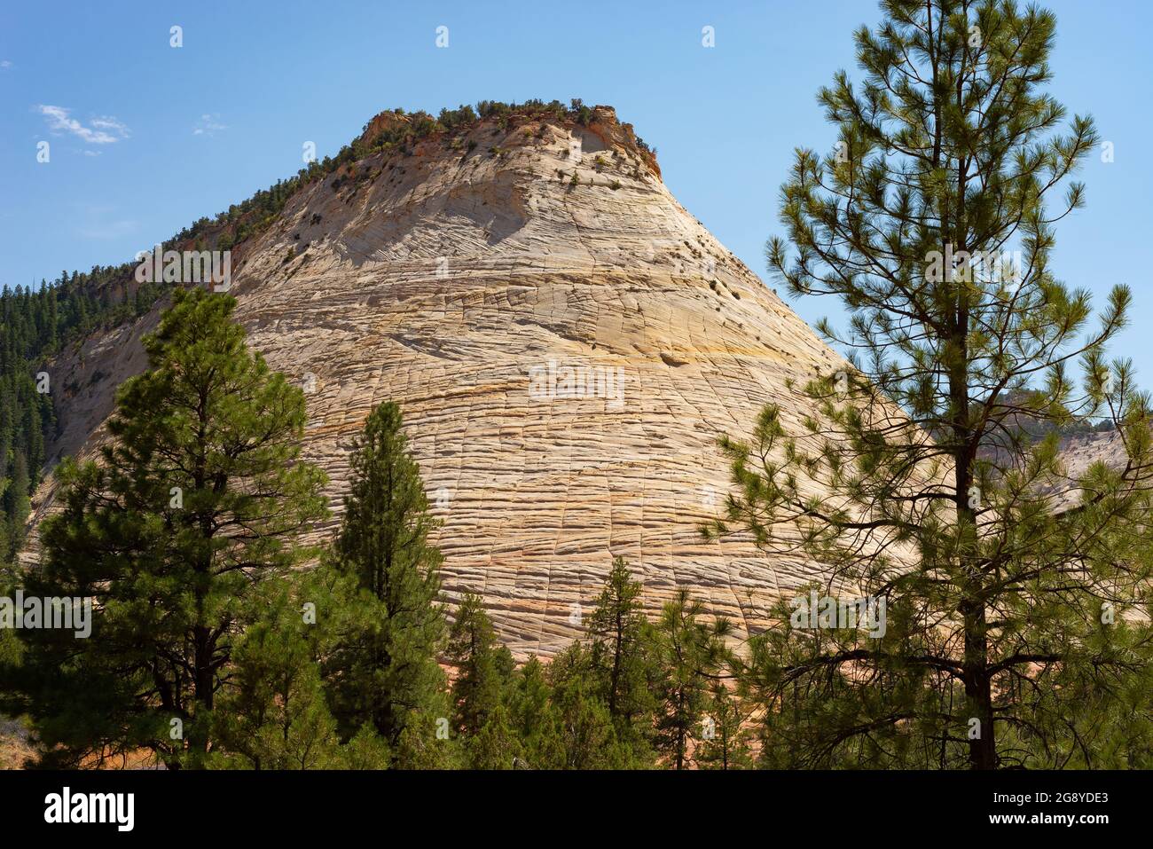 Beautiful landscape on the east end of Zion National Park in Utah Stock ...