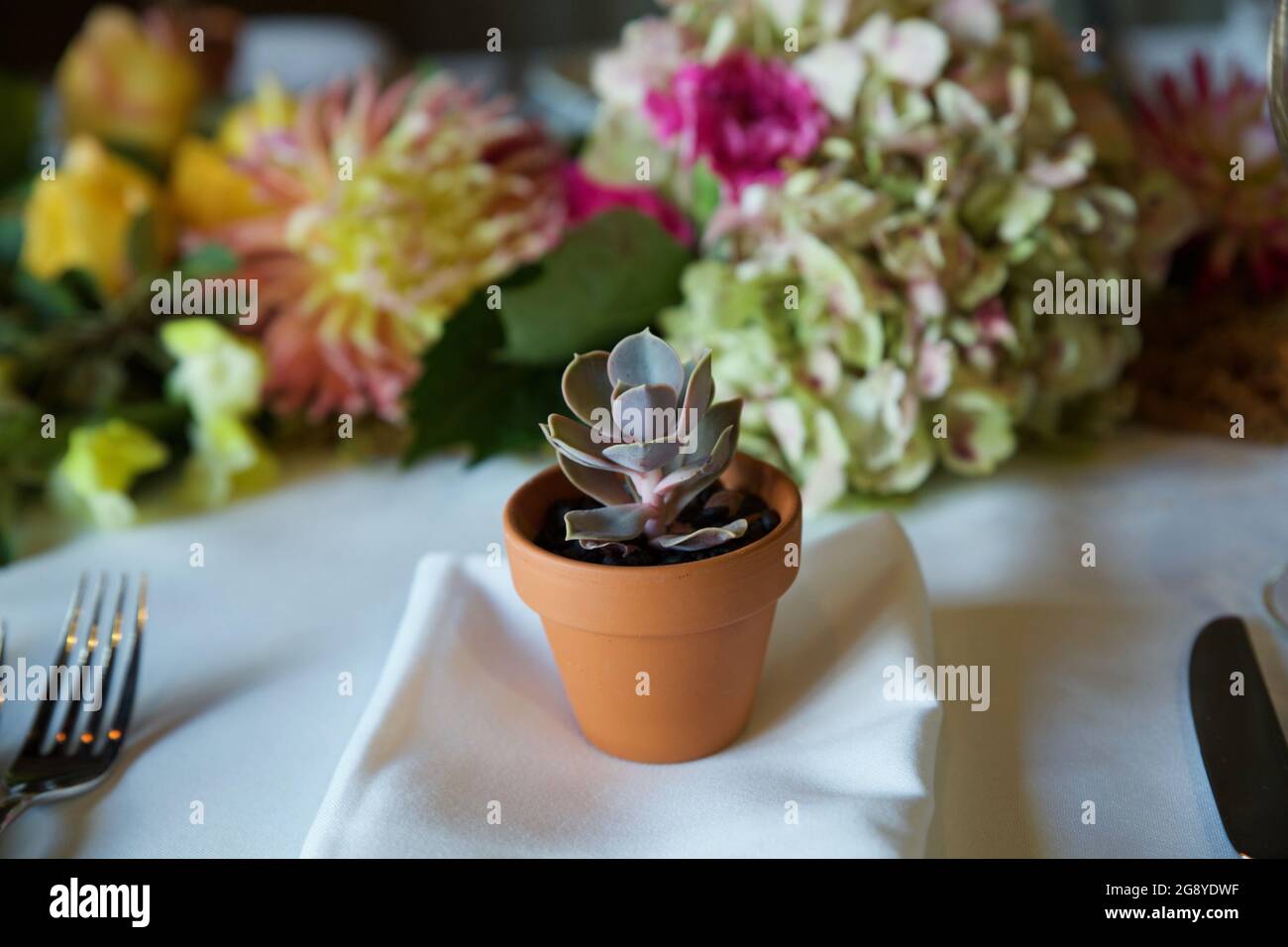 Closeup of a little potted plant on the restaurant table decorated with ...