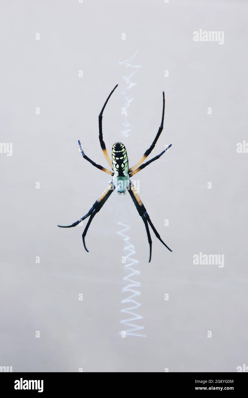 Yellow zig zag background hi-res stock photography and images - Alamy