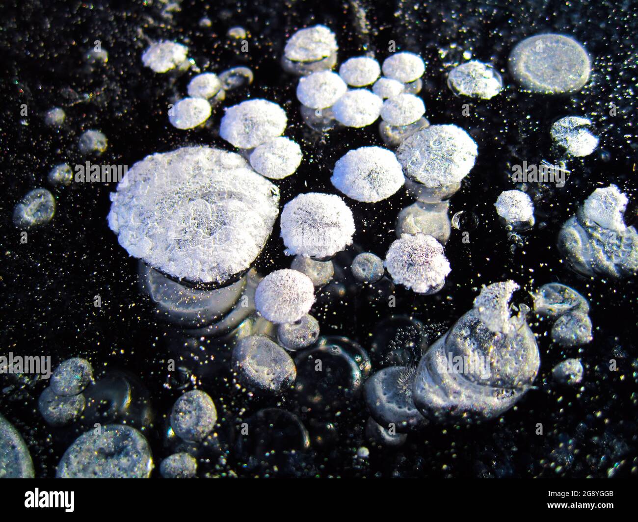 Ice bubbles alaska hi-res stock photography and images - Alamy