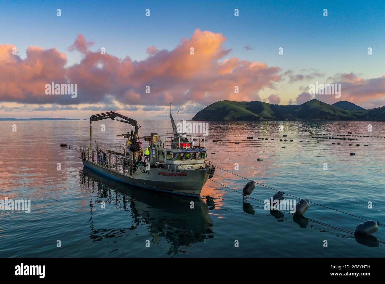 Breeding mussels hi-res stock photography and images - Alamy