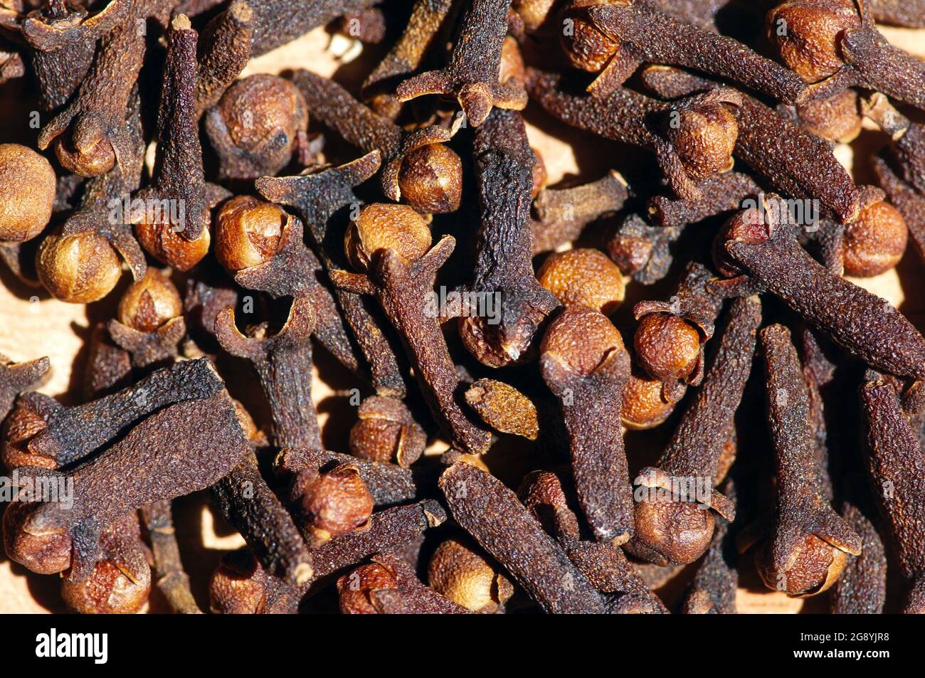Clove Images