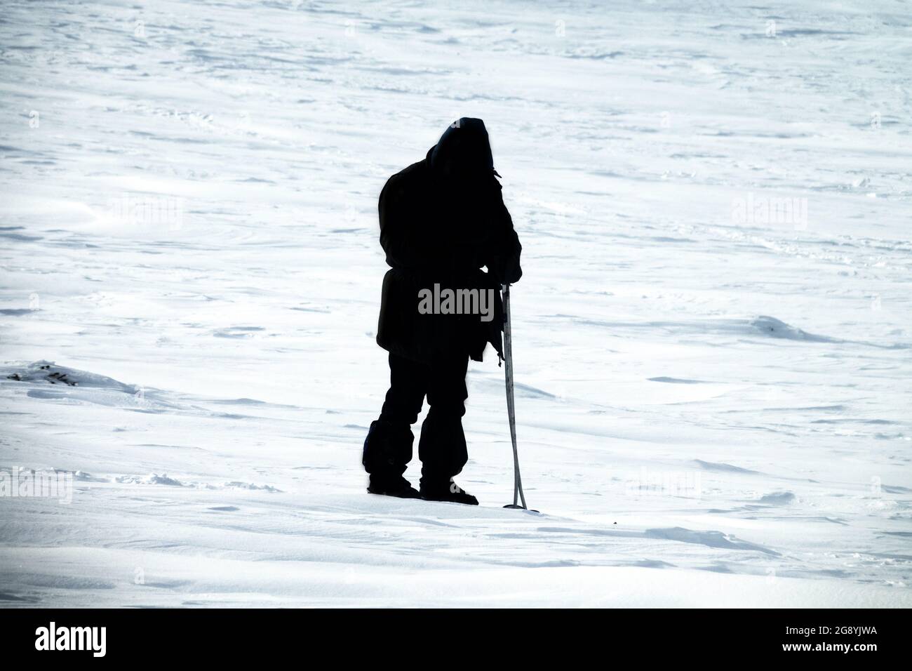 Tourist skier on a long distance route Stock Photo - Alamy