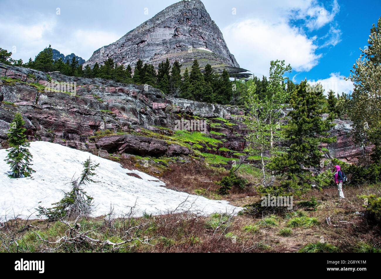 Hiker looking uo at towering mountain peak, Swiftcurrent Valley ...