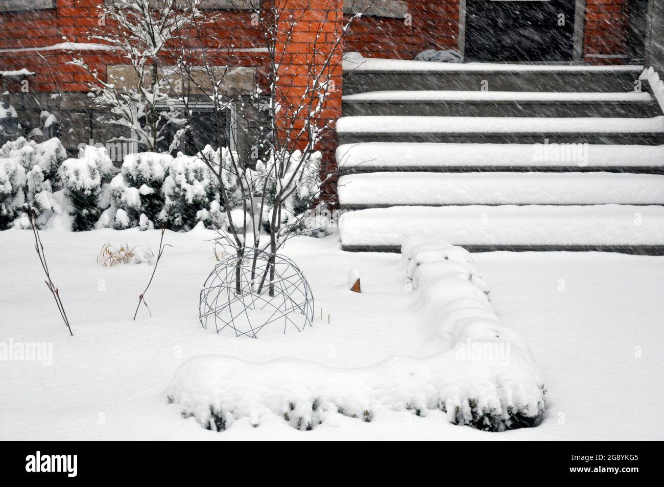 Boxwood front yard hi-res stock photography and images - Alamy