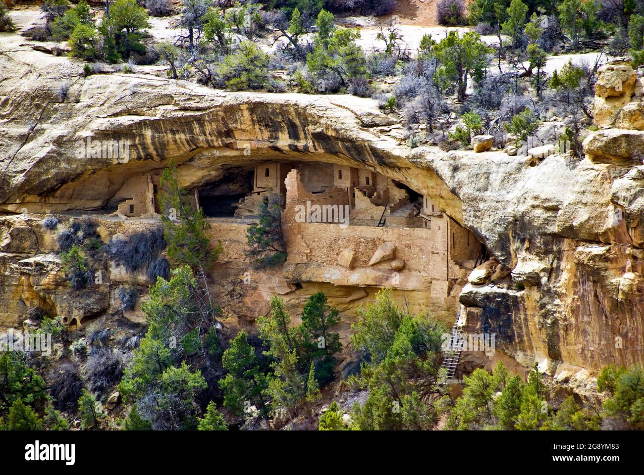 The Balcony House, Mesa Verde Cliff Dwellings, Colorado Stock Photo - Alamy