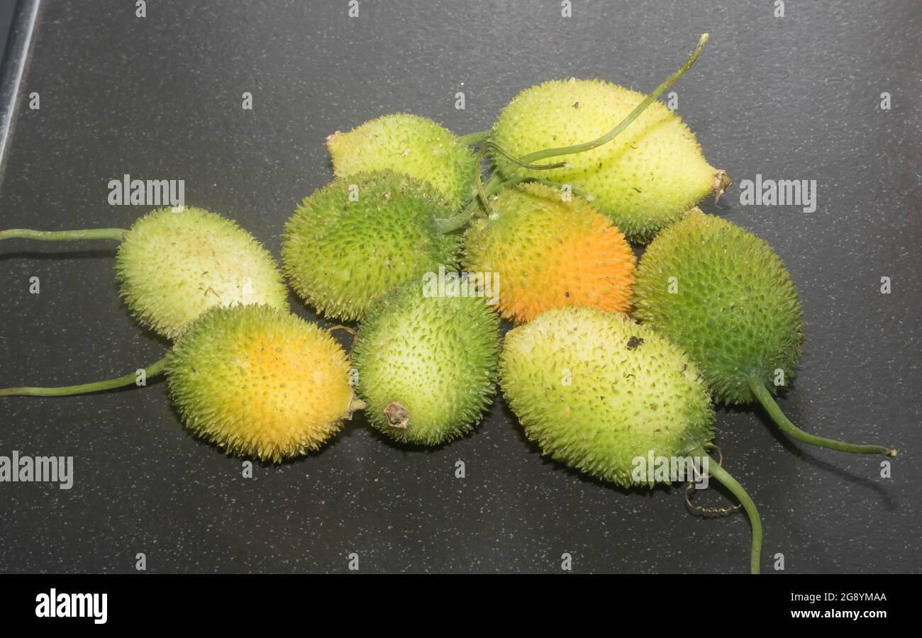 Green Spiky Vegetable