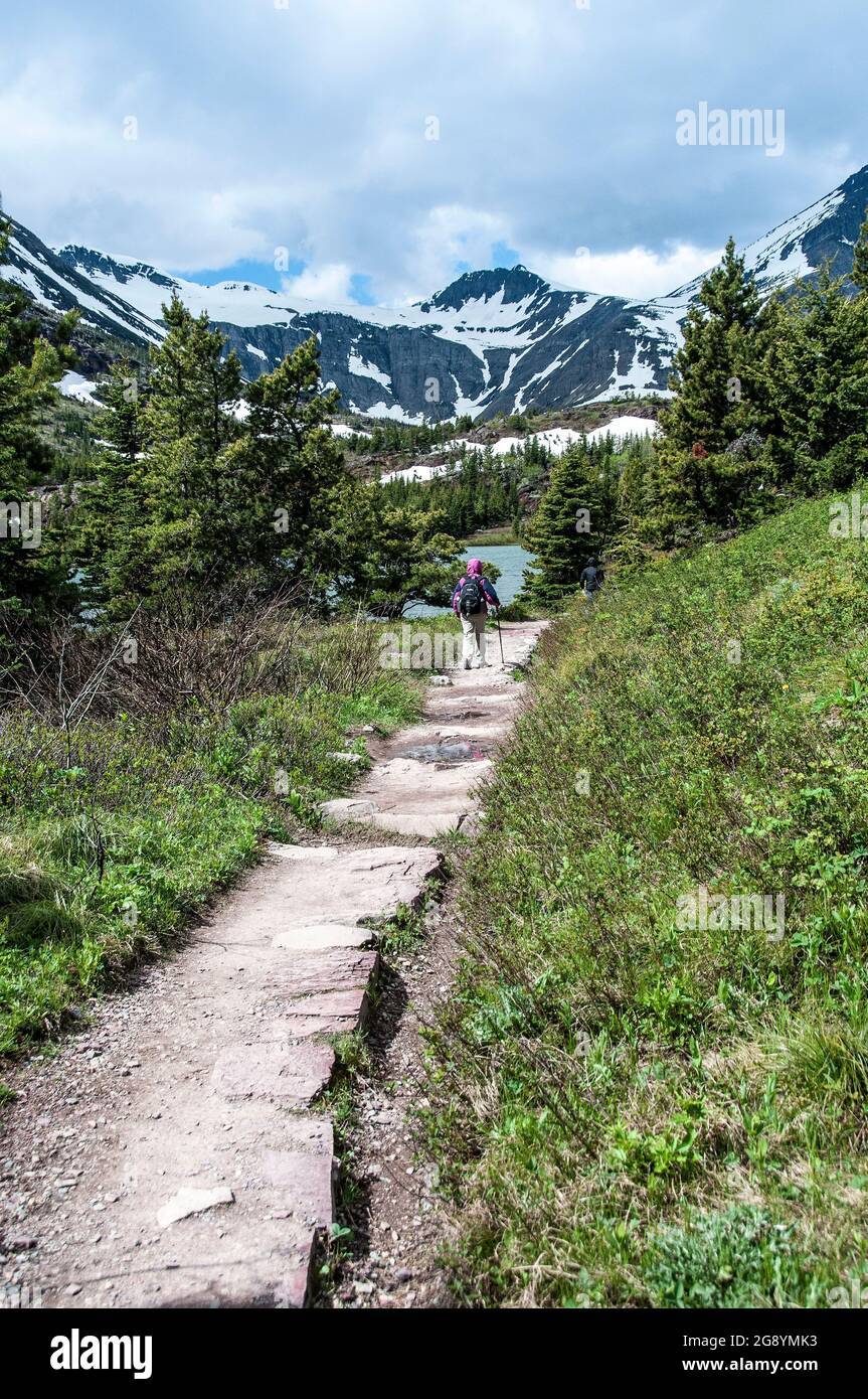 Lone hiker on Swiftcurrent Valley trail, Glacier National Park, Montana ...