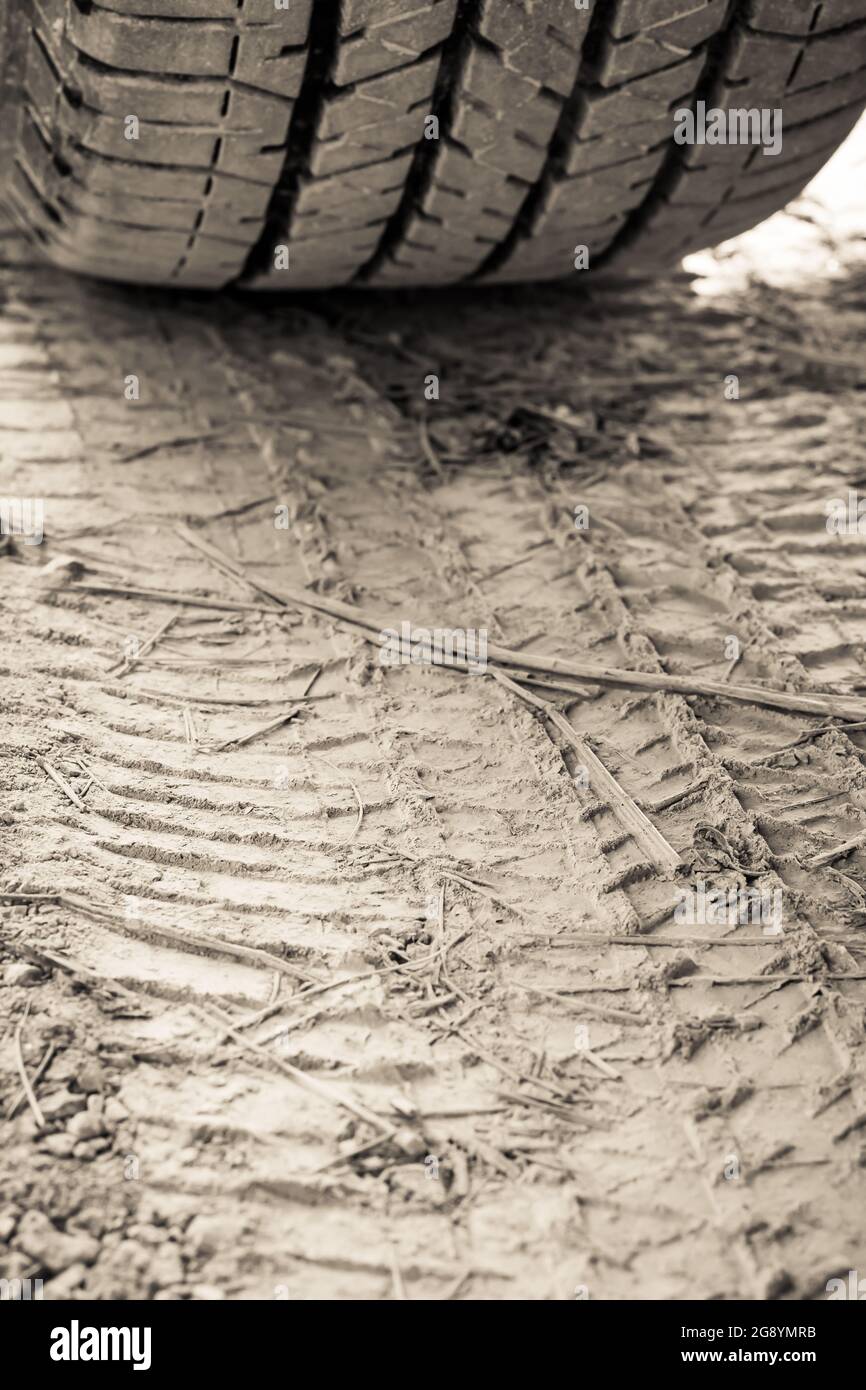 Closeup texture wheel with tyre tracks in the ground in sunlight. Wheel ...