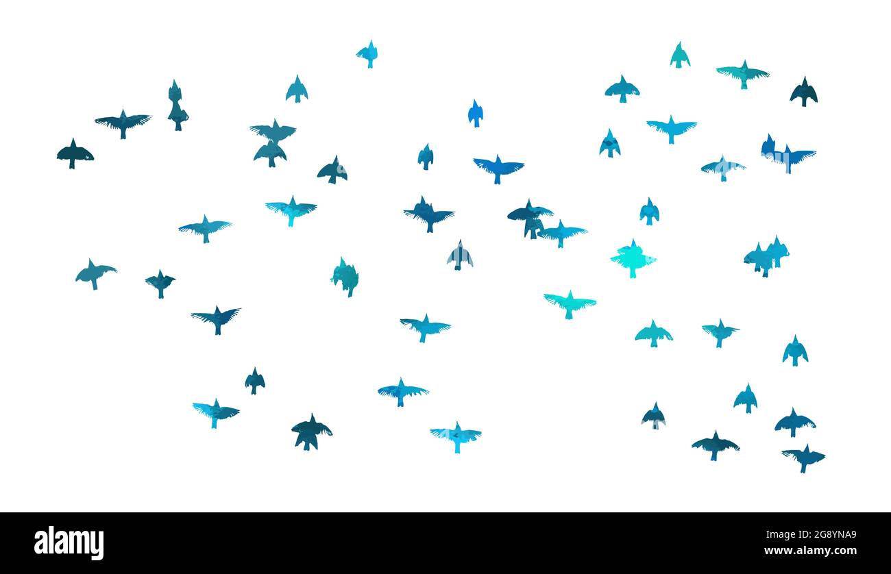 A flock of blue birds. Vector illustration Stock Vector Image & Art - Alamy