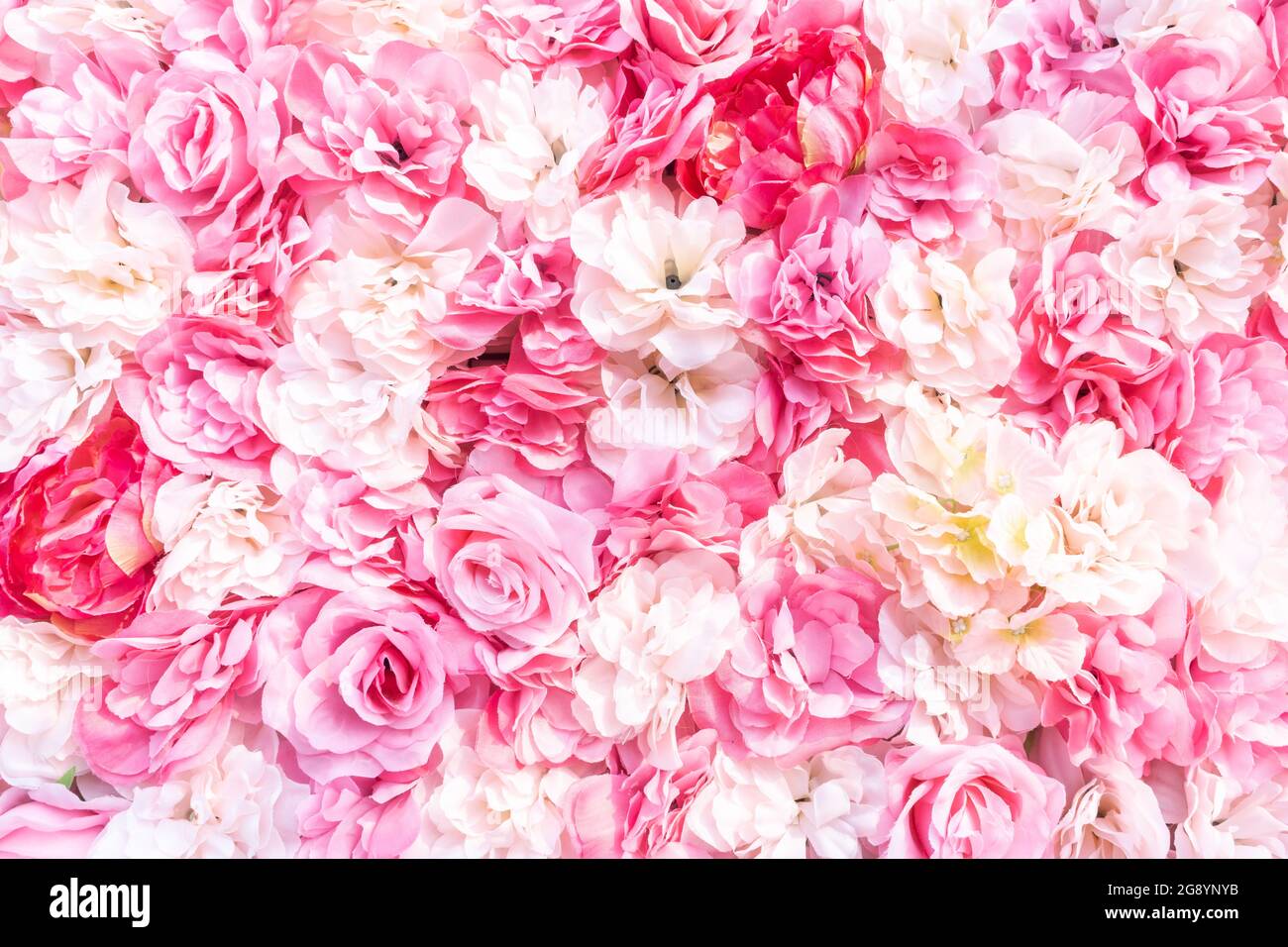 Beautiful flower colorful backdrop , fake flower Plastic background ...