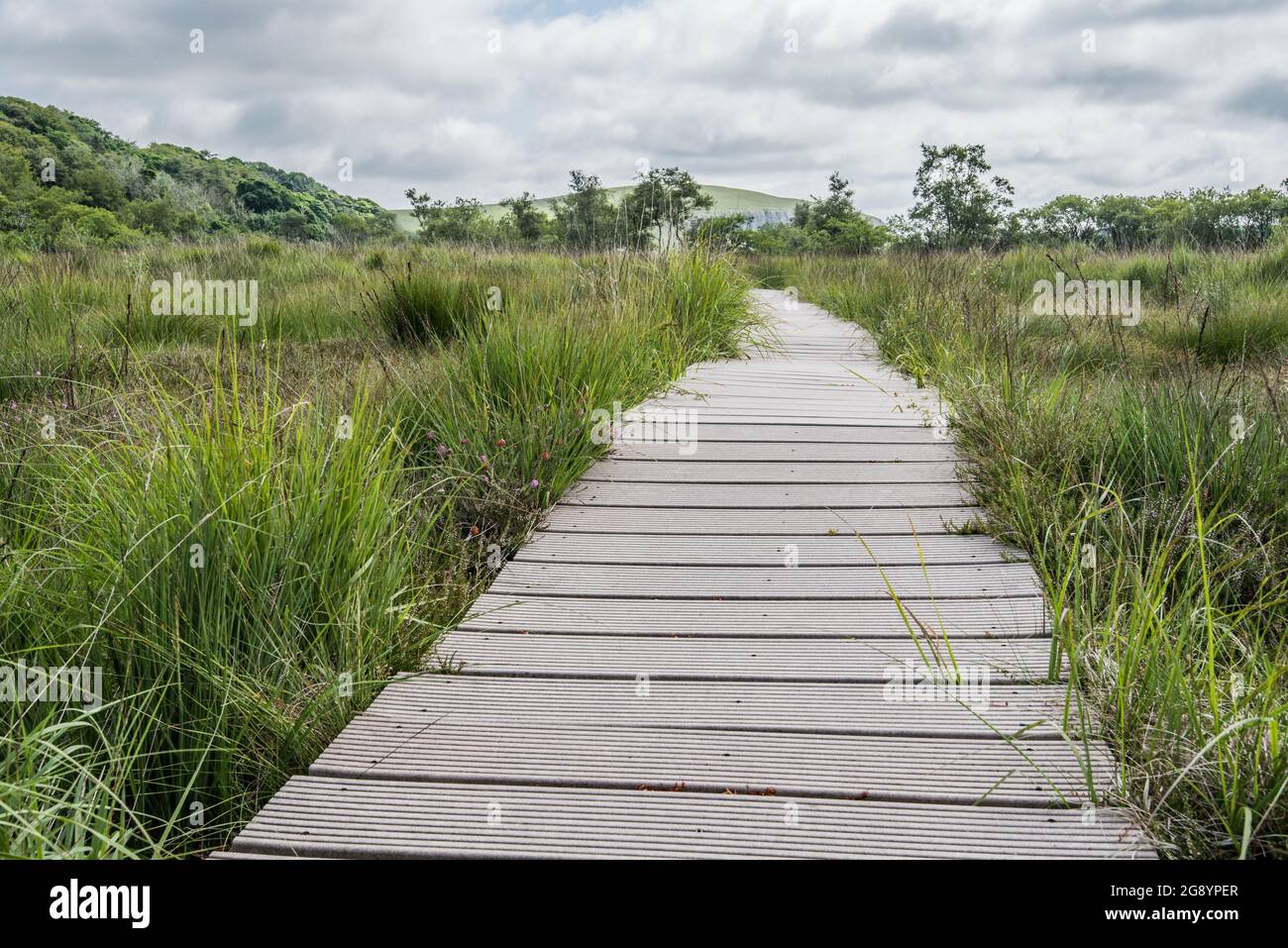 Tarn Moss and the Malham tarn boardwalk Stock Photo - Alamy