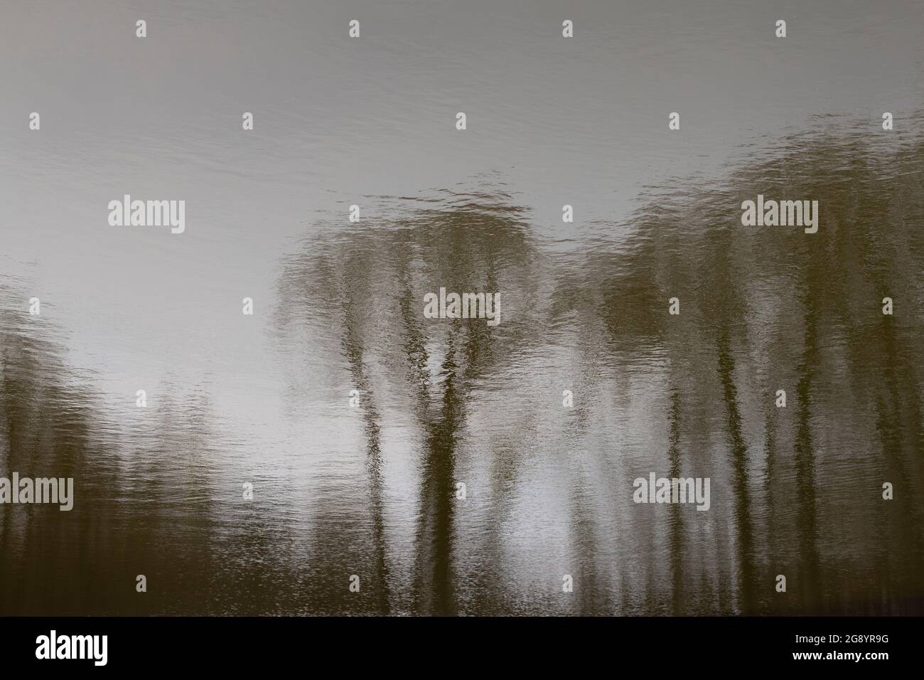 Ripples on the lake. Water in cloudy weather. Fuzzy reflection of trees ...