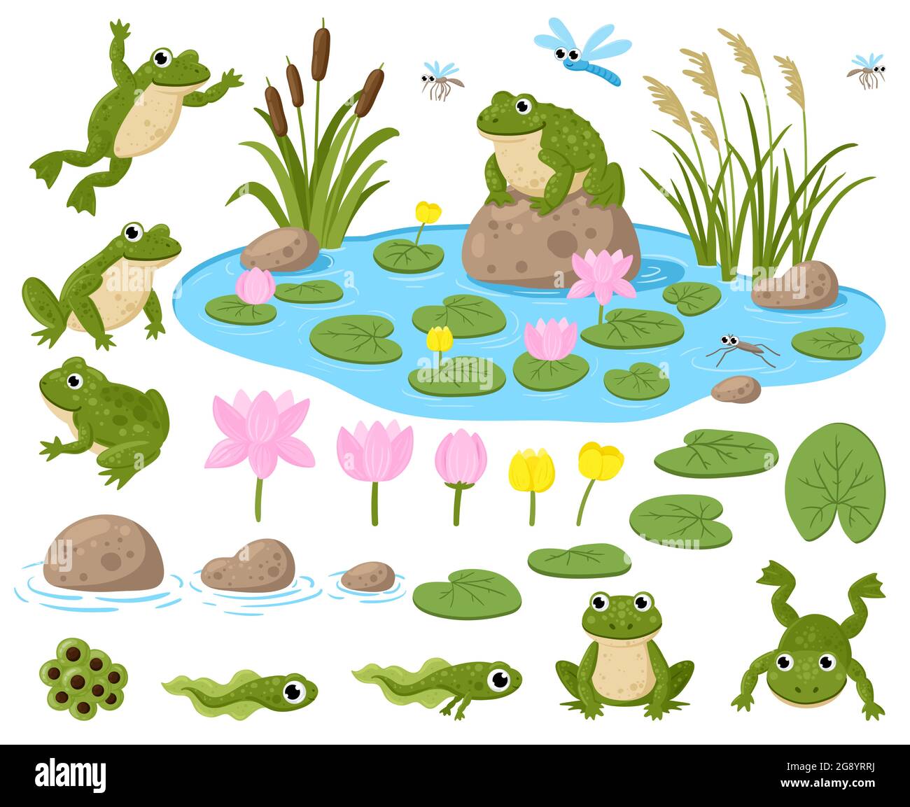 Cartoon frogs. Cute amphibian mascots, frogspawn, tadpoles, green frogs ...