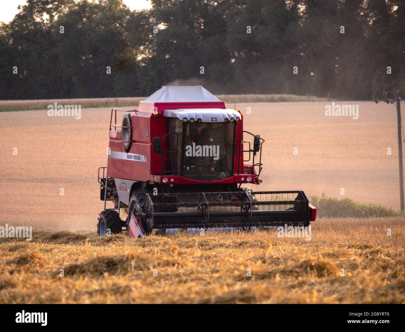 The wheat harvest starts n Great Bardfield Essex. As the weather ...