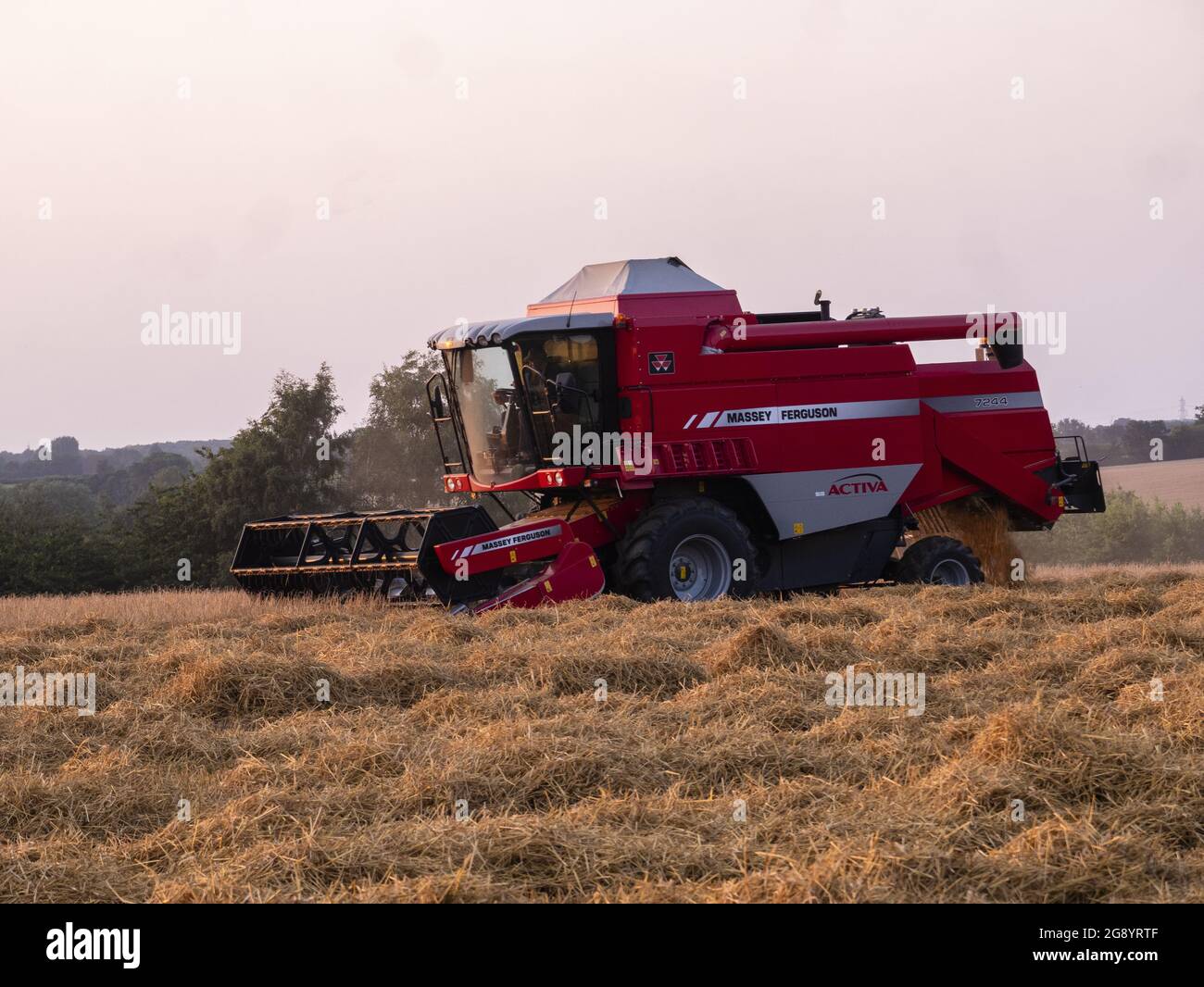 The wheat harvest starts n Great Bardfield Essex. As the weather ...