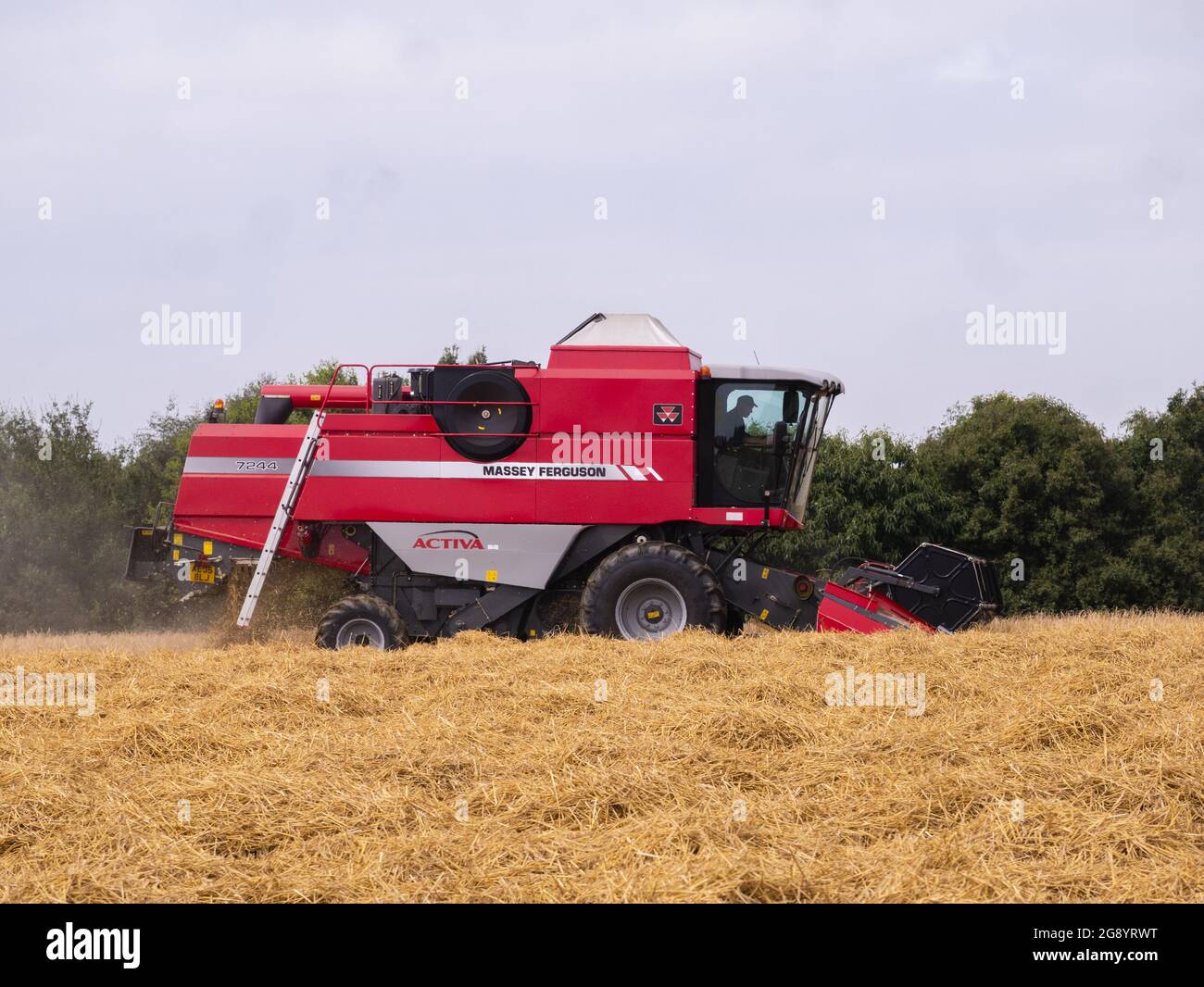 The wheat harvest starts n Great Bardfield Essex. As the weather ...