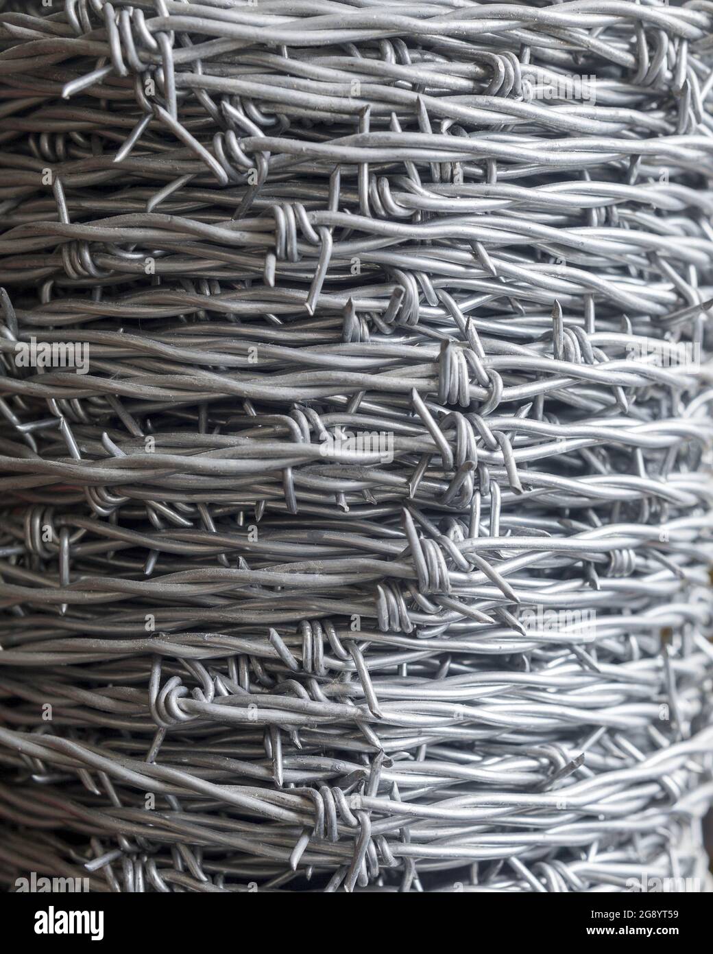 Spike wire hi-res stock photography and images - Alamy