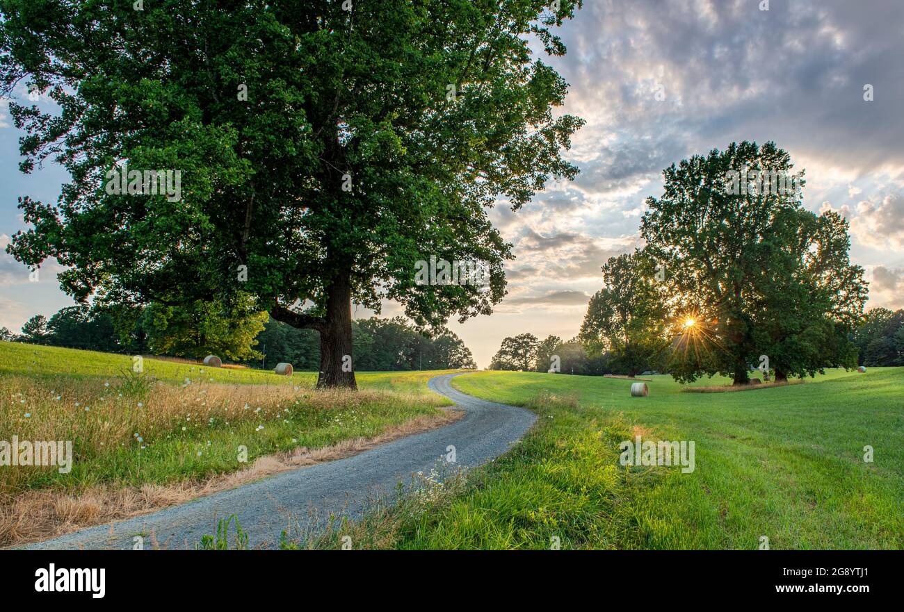 Rural scene with hay bales near sunset in midsummer in central Virginia ...