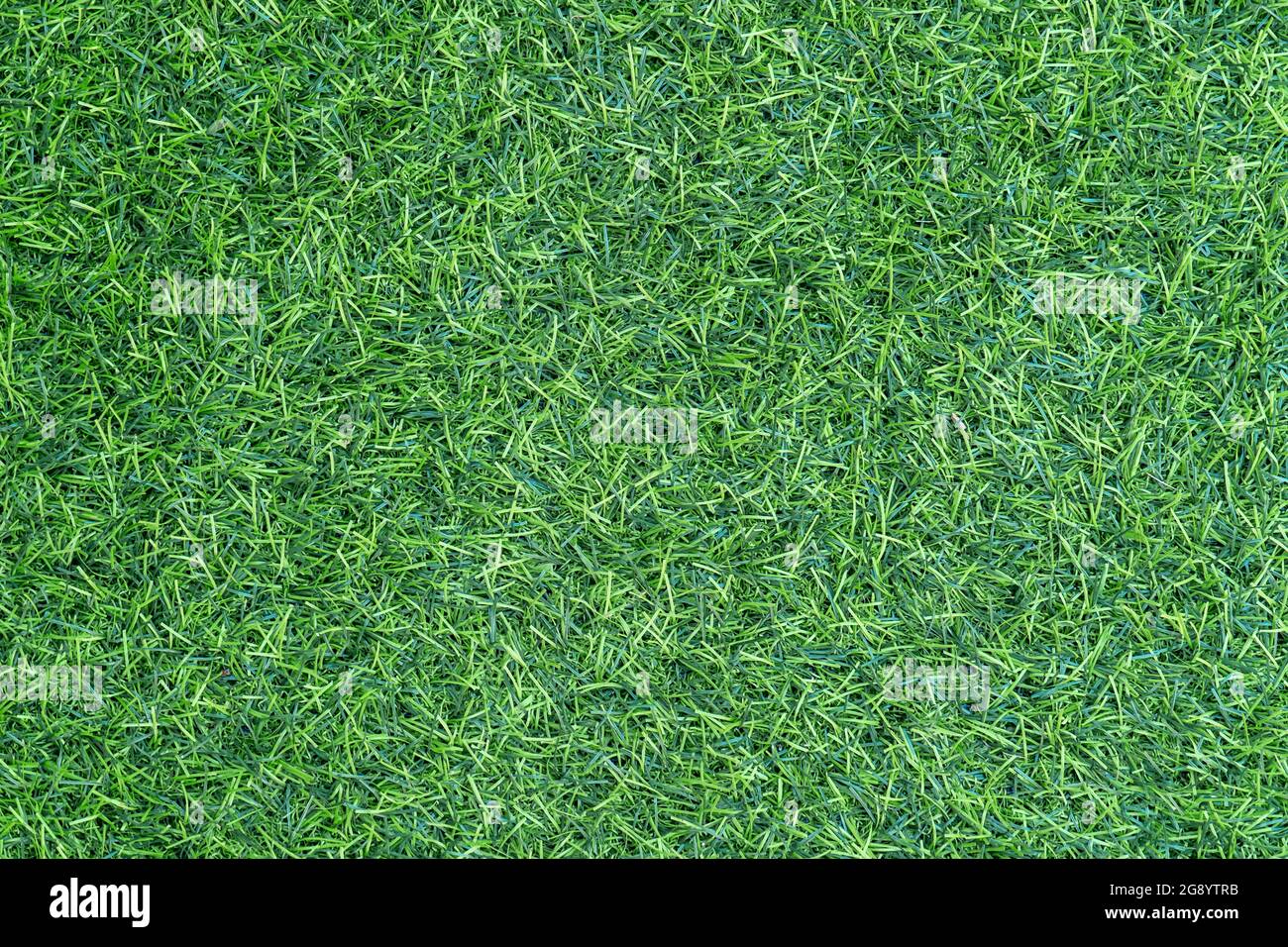 Astro turf texture hi-res stock photography and images - Alamy