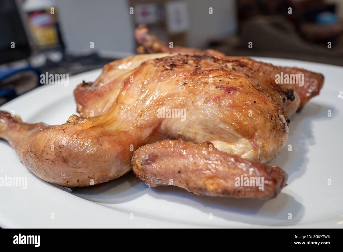 Venture Chicken High Resolution Stock Photography and Images - Alamy