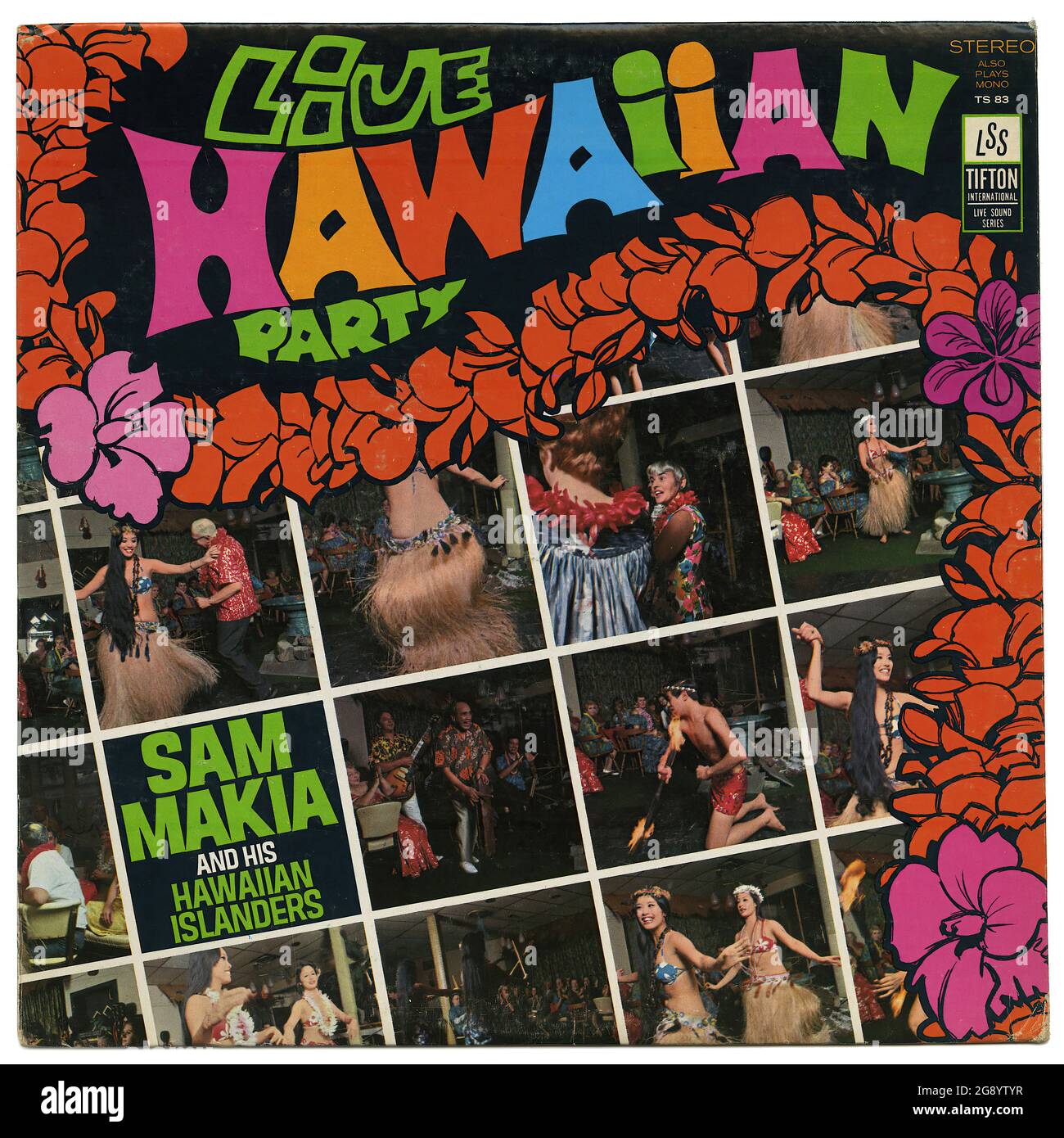 Party cover Cut Out Stock Images & Pictures - Alamy