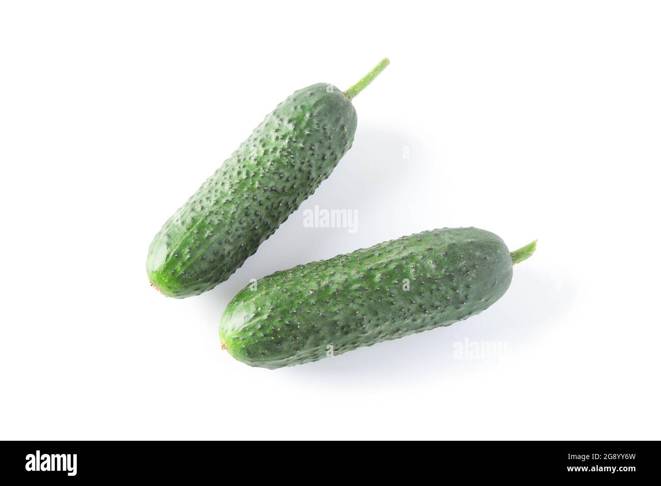 Fresh cucumbers close up isolated on white background Stock Photo - Alamy