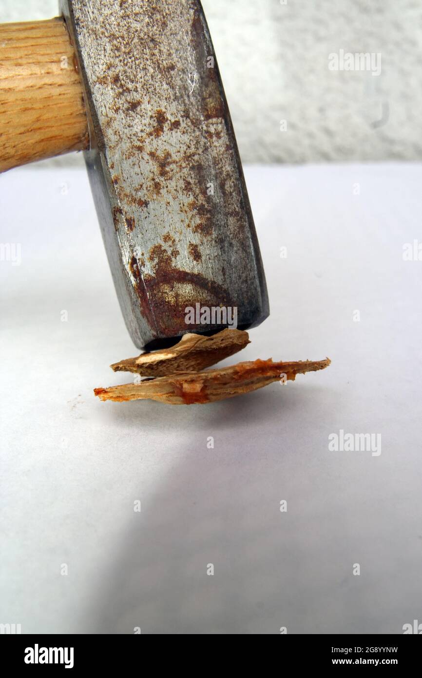 Cracked seed hi-res stock photography and images - Alamy