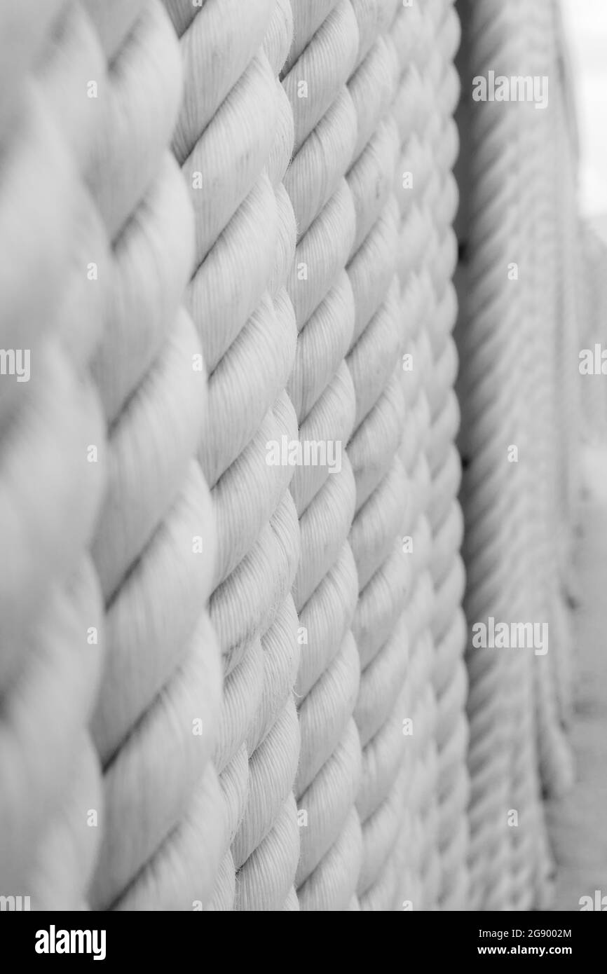 Strong white ropes weigh upright on white background Stock Photo - Alamy