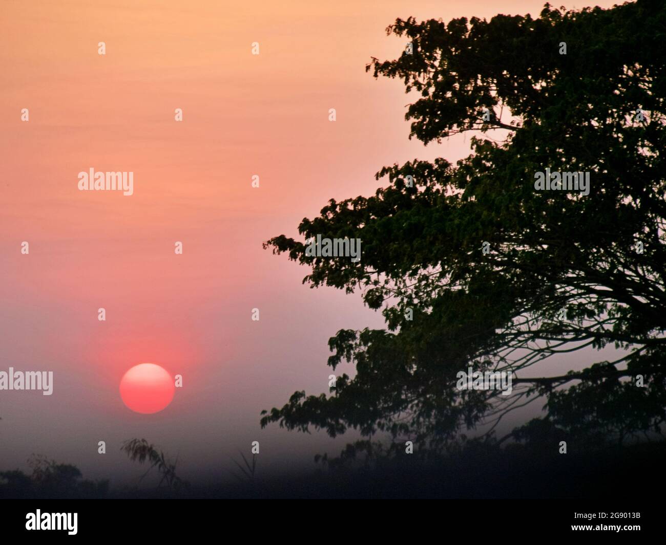 Stunning pink sun going down in Tamil Nadu countryside southern India ...