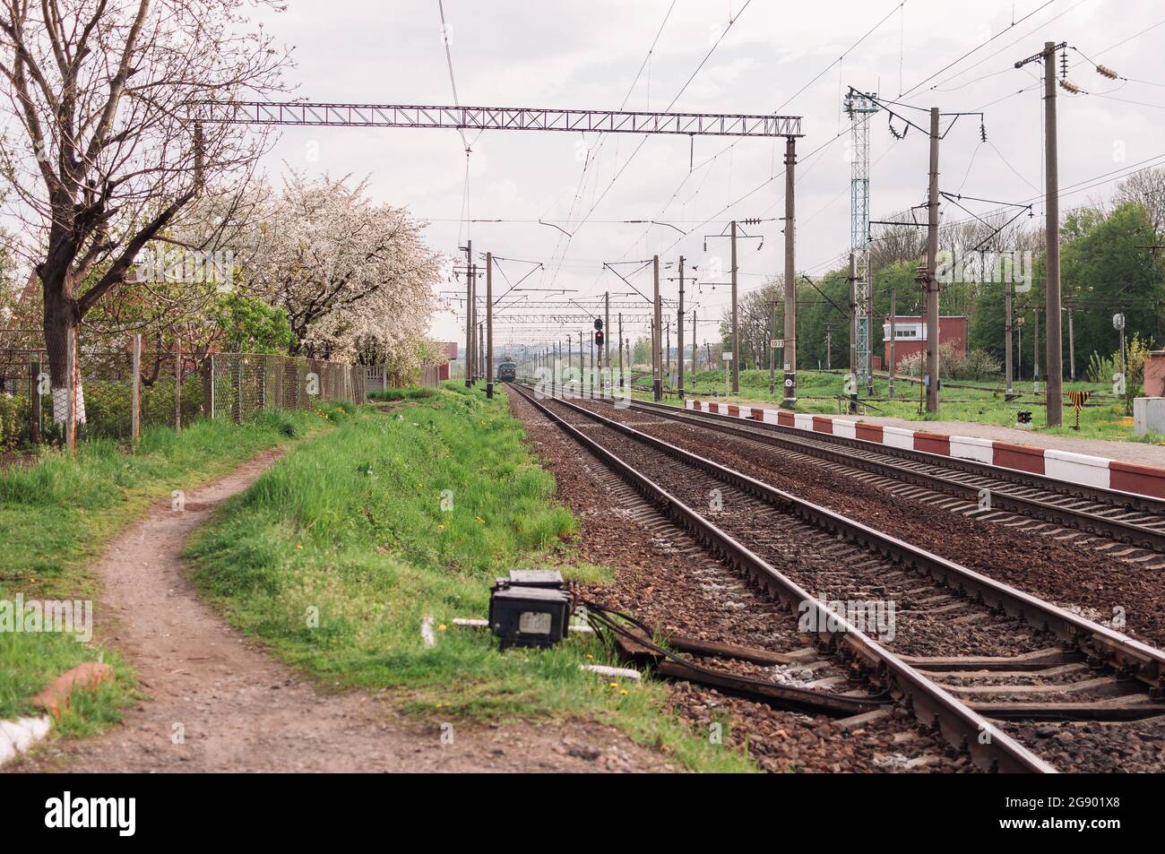 View of railroad tracks surrounded by trees Stock Photo - Alamy
