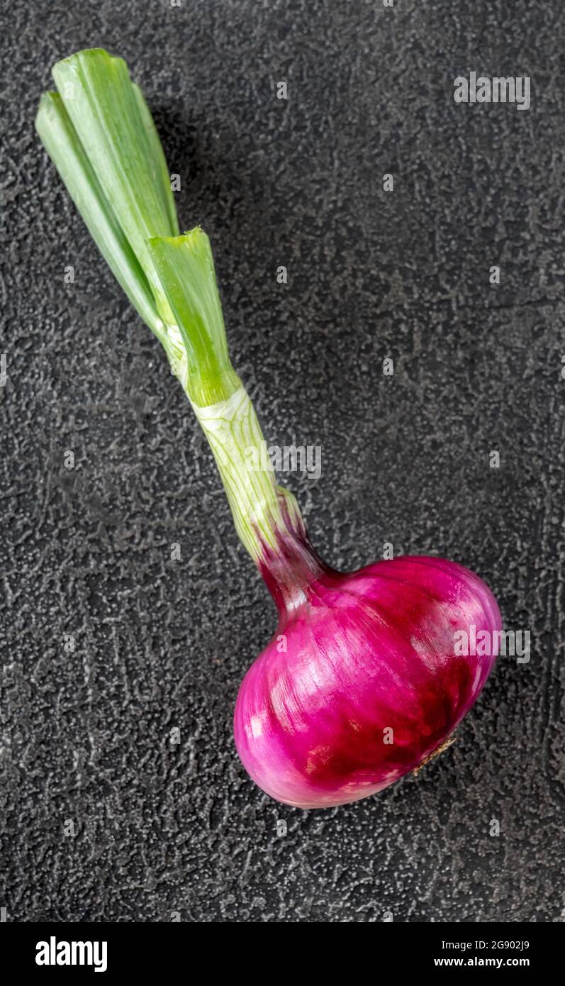 Red onion on the black background: top view Stock Photo - Alamy