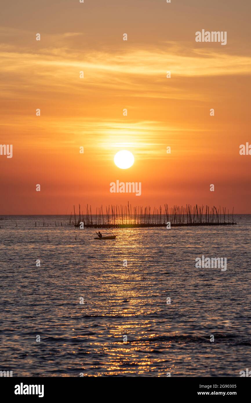 Oyster farm in the sea and beautiful sky sunset background , sun and ...