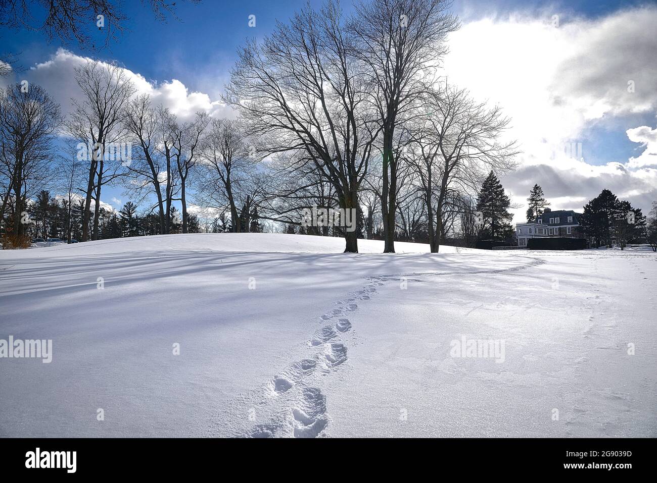The footprint on the park in winter Stock Photo - Alamy