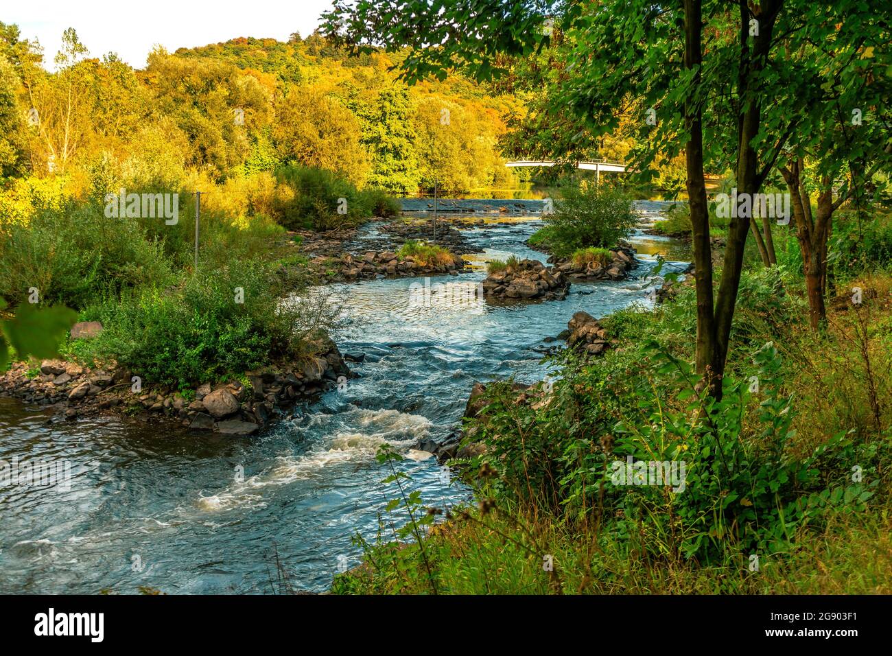 Stream of water flowing on the rocks of a forest in daylight Stock ...