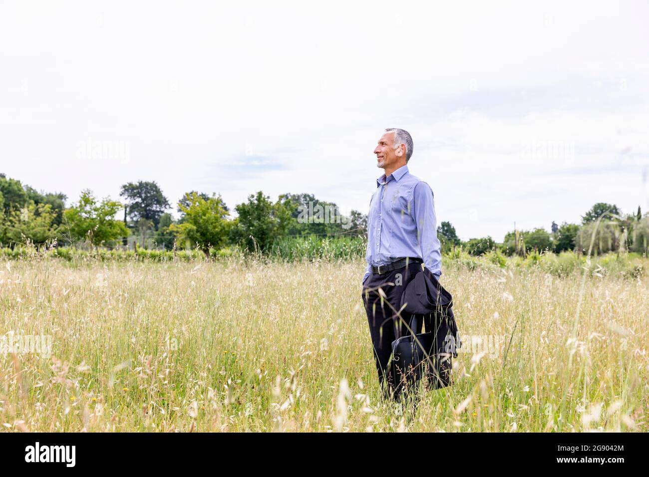 Field balance hi-res stock photography and images - Alamy